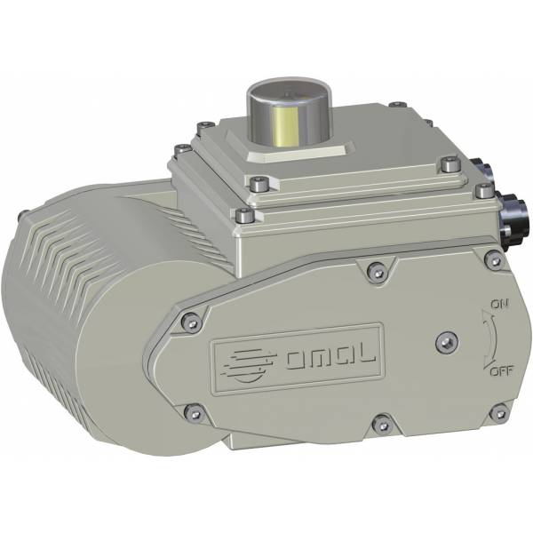 Electric Actuators of the Rotating Type